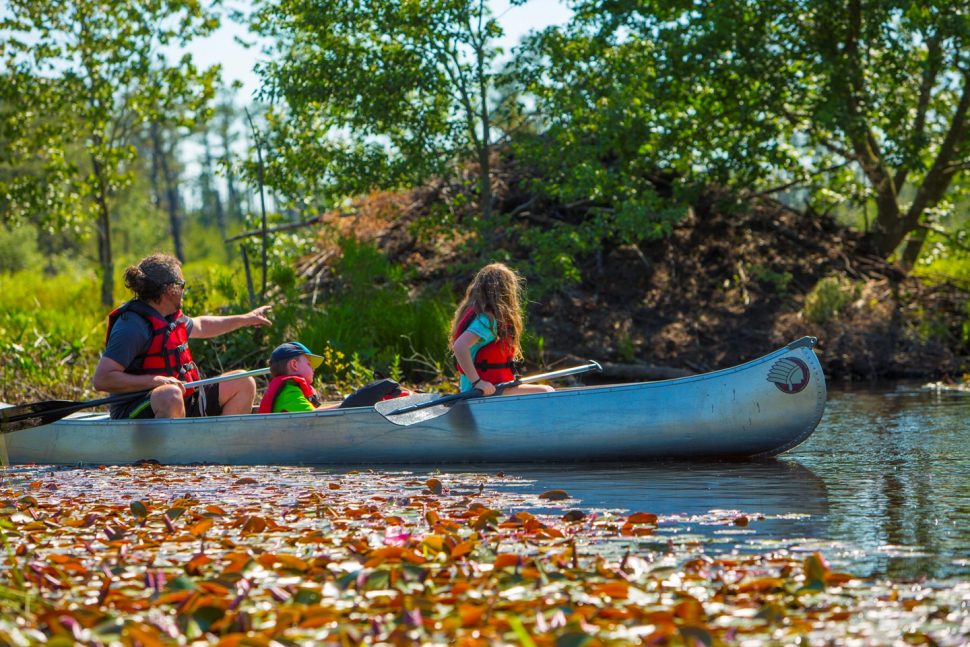 Mullica River “Shorty” – 1st Beach to Lock’s Bridge 1.5+ hours ...
